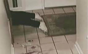 True Crime Society - The Porco Family Axe Attack
